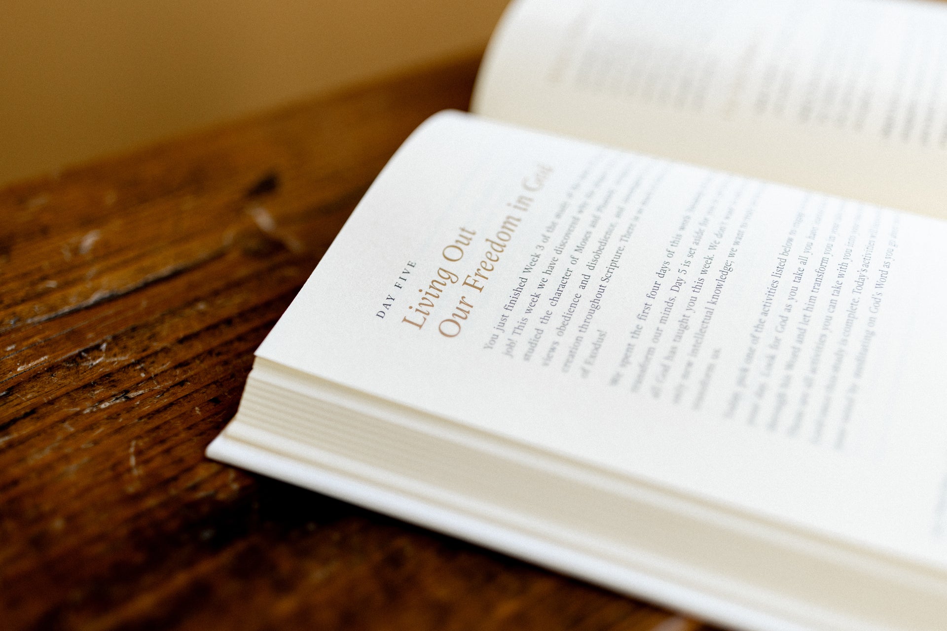 Beyond Egypt – Hosanna Revival