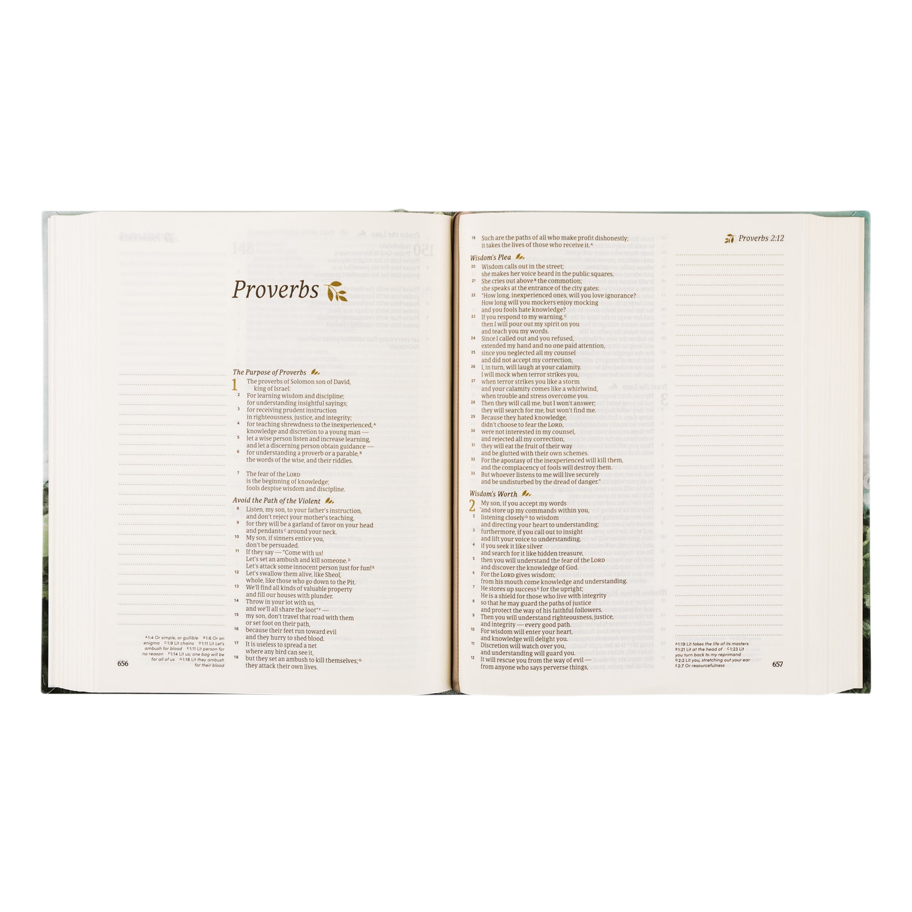 CSB Notetaking Bible: Dublin Theme | Hosanna Revival