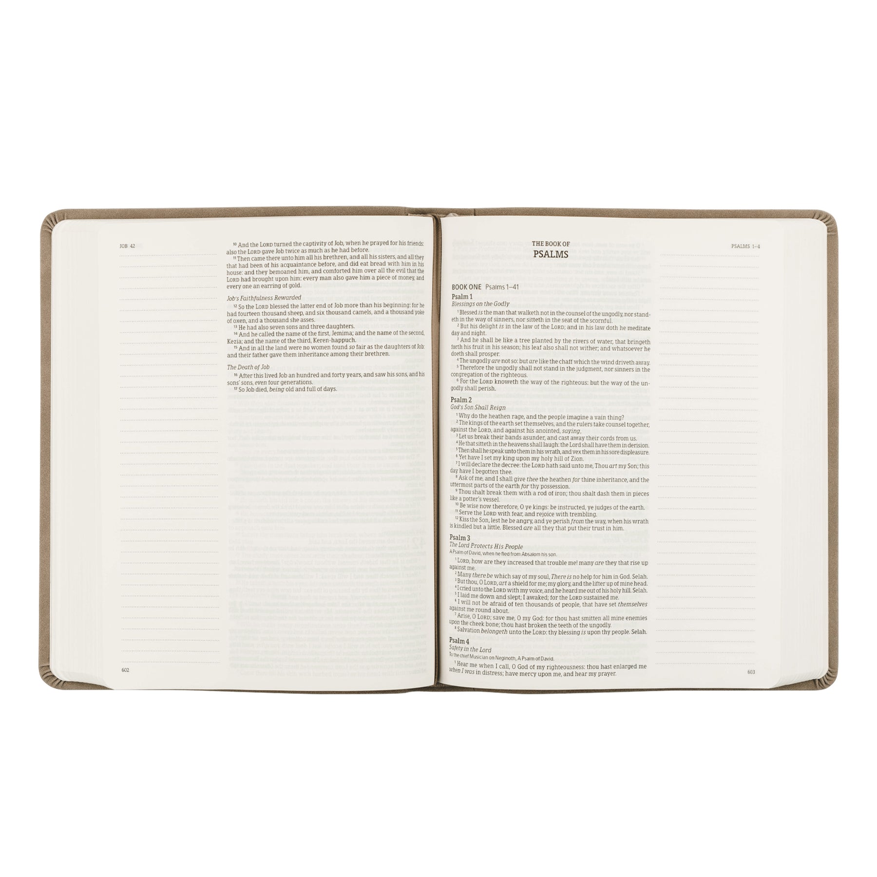 KJV Large Print Notetaking Bible: Marlo Theme – Hosanna Revival