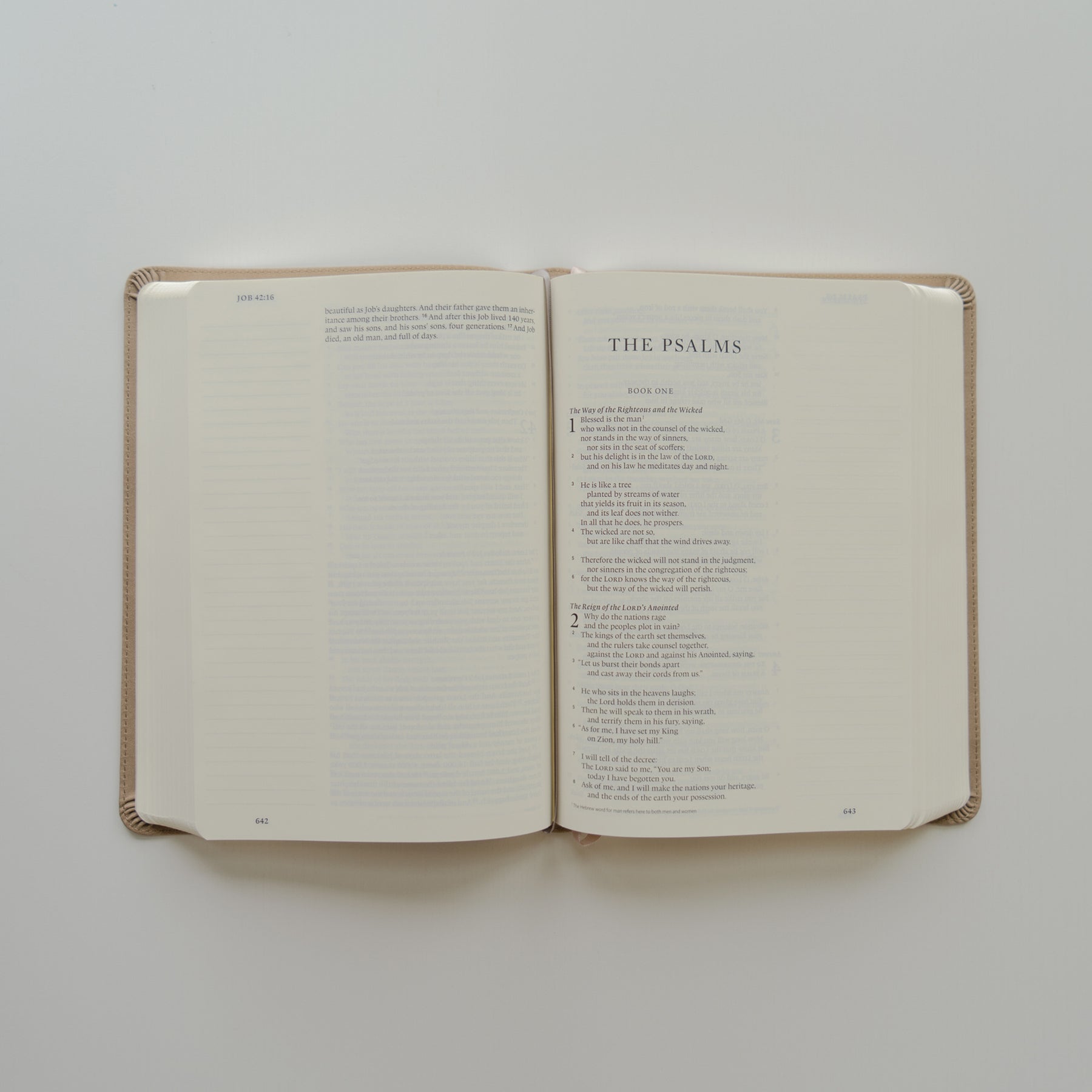 ESV Large Print Journaling Bible: Nara Theme | Hosanna Revival