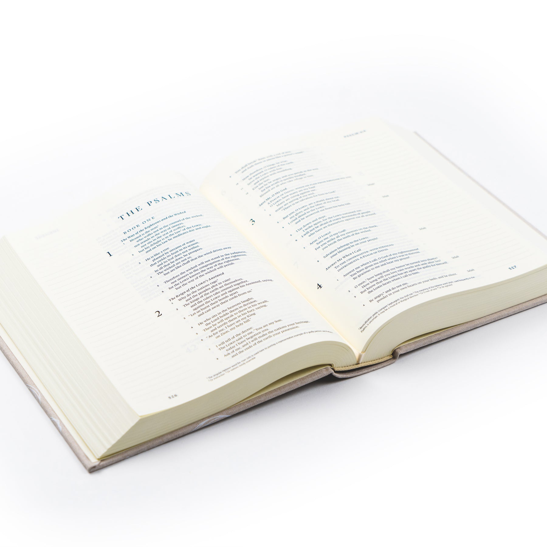 Beautiful Bibles | Original, Hand-Painted designs by Hosanna Revival