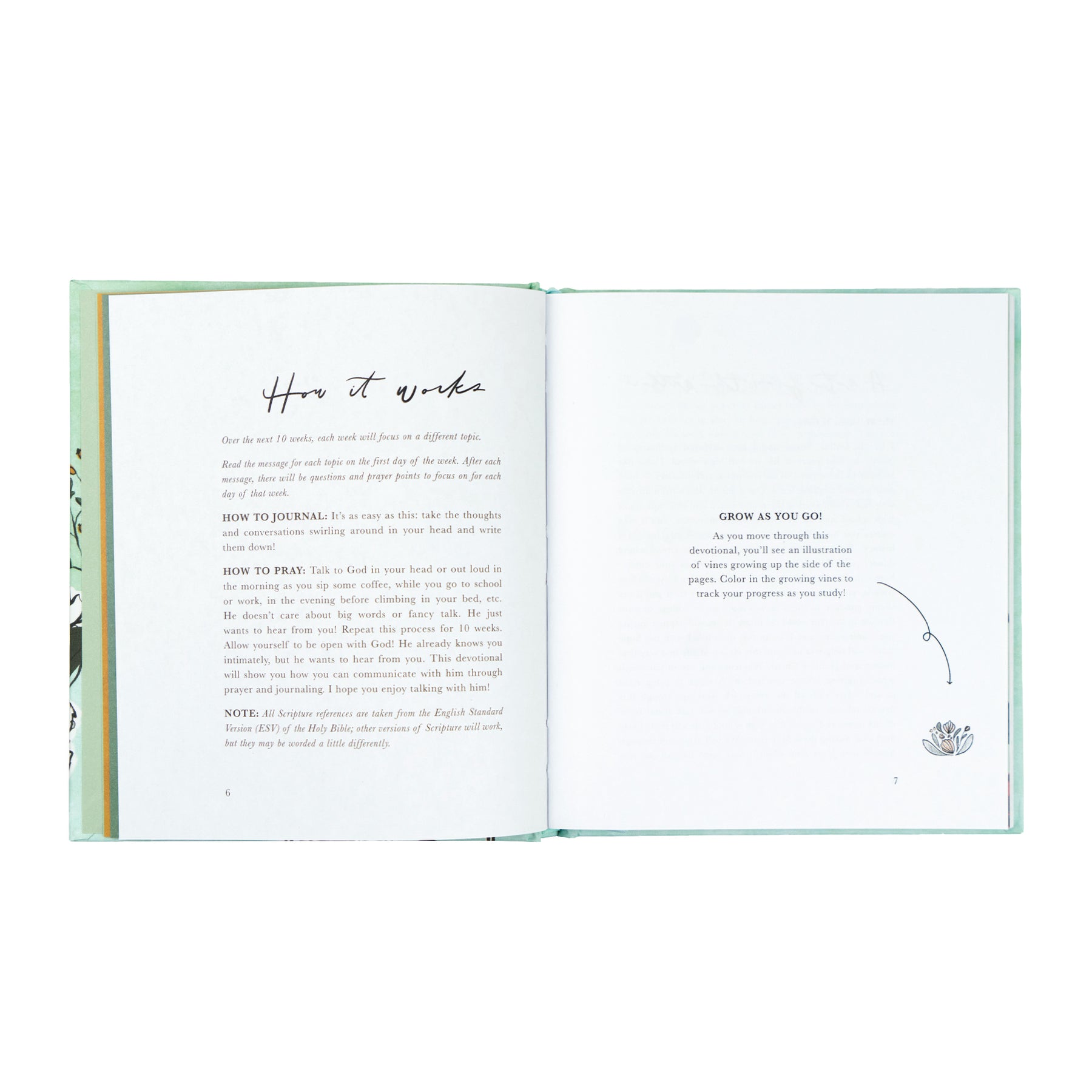 Rooted to Rise | High School Girls Devotional from Hosanna Revival