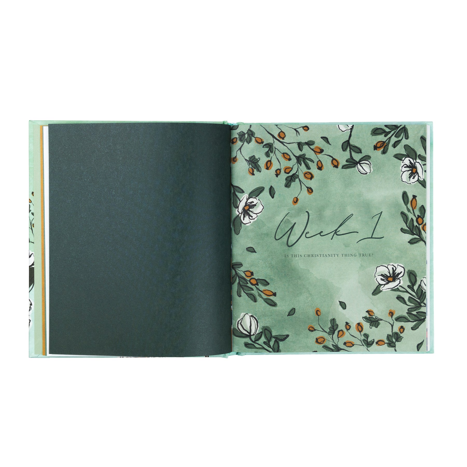 Rooted to Rise | High School Girls Devotional from Hosanna Revival