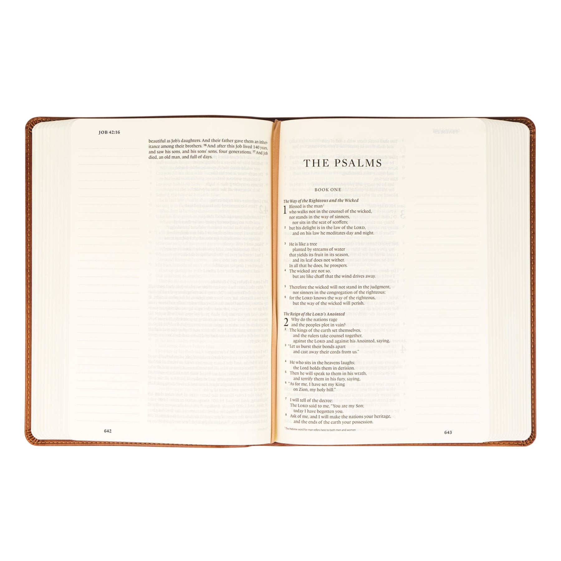 ESV Large Print Journaling Bible: Sierra Theme | Hosanna Revival